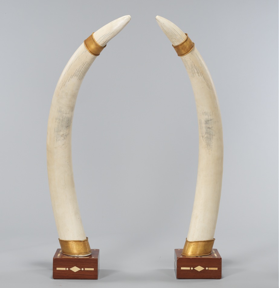 Ivory Tusks