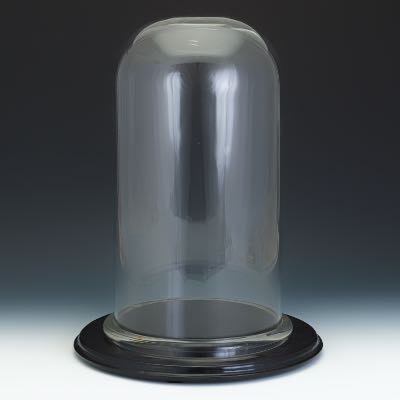 Glass Dome with Fitted Wood Base